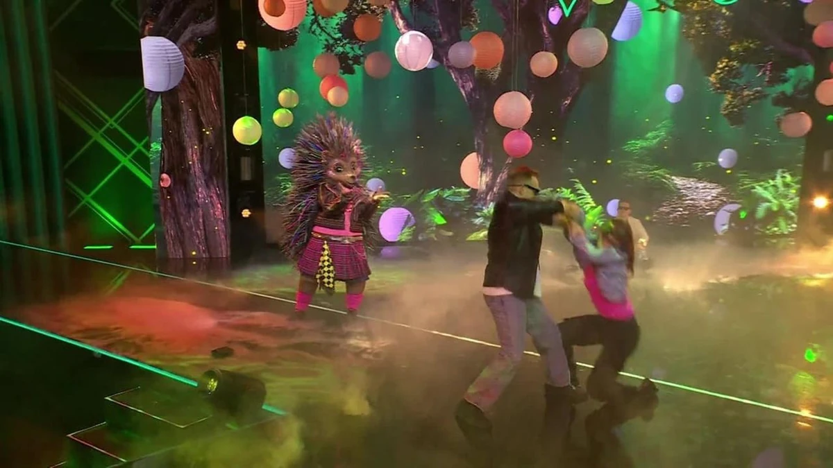 Season 6, Episode 8 (NL) | The Masked Singer Wiki | Fandom