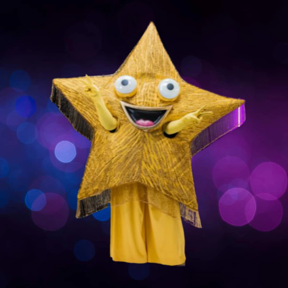 Star (ZA) | The Masked Singer Wiki | Fandom