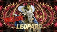 Leopard (US) | The Masked Singer Wiki | Fandom