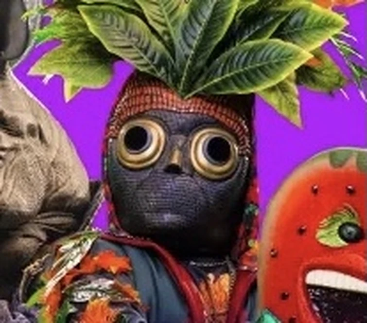 Discuss Everything About The Masked Singer Wiki | Fandom