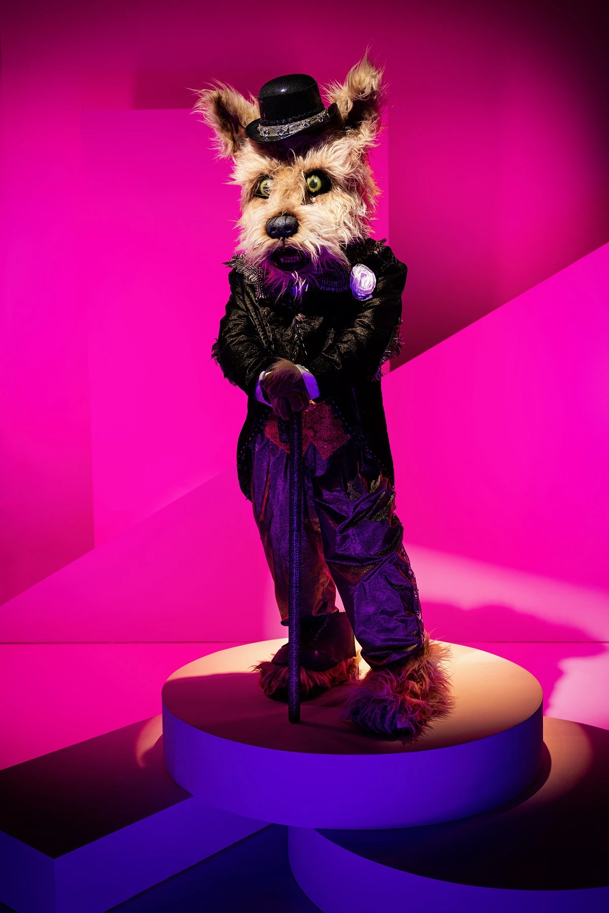 Perro (MX) | The Masked Singer Wiki | Fandom
