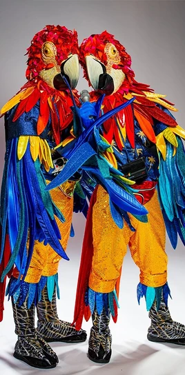 Perroquets | The Masked Singer Wiki | Fandom