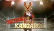 Kangaroo (US) | The Masked Singer Wiki | Fandom