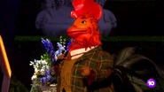 Rooster (AU) | The Masked Singer Wiki | Fandom