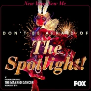 Moth | The Masked Singer Wiki | Fandom