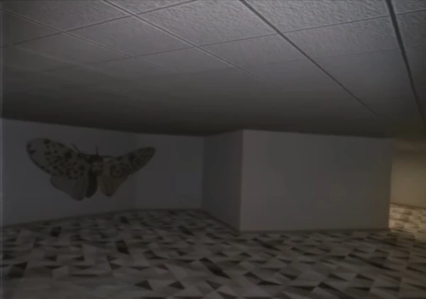 Entity 004 - "Deathmoths" | Backrooms: Mastodonic Database Wiki | Fandom