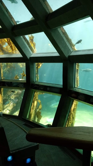 Level 43 - "Atlantis Aquarium" | Backrooms: Mastodonic Database Wiki ...