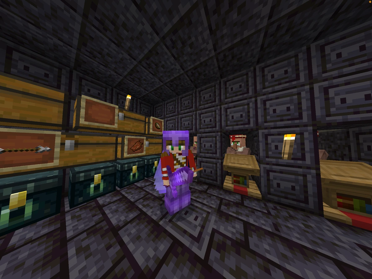 Dom(SMP) | The Max_SMP Wiki | Fandom