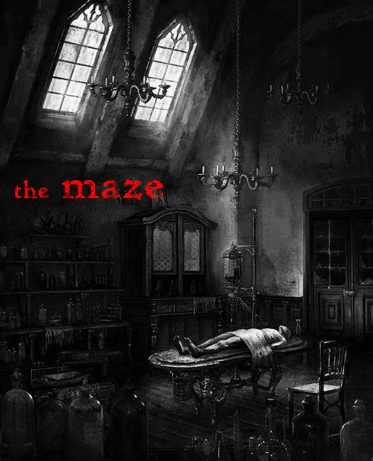 Dicas para iniciantes | Wiki The Maze | Fandom