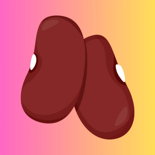 BeanLand | The MCF Universe Wiki | Fandom