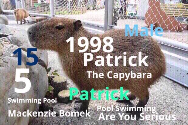 Patrick Pool 20202 | The McKenzie Bomek A Full New Episodes Official ...