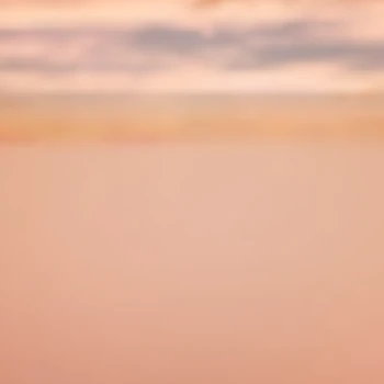 Singularity | The Celestial Caverns Wiki | Fandom