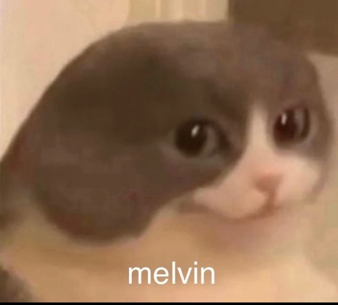 Melvin | The MelvinVerse Wiki | Fandom