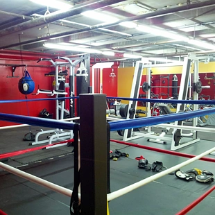 Volonino's Gym | The Metro Court Wiki | Fandom