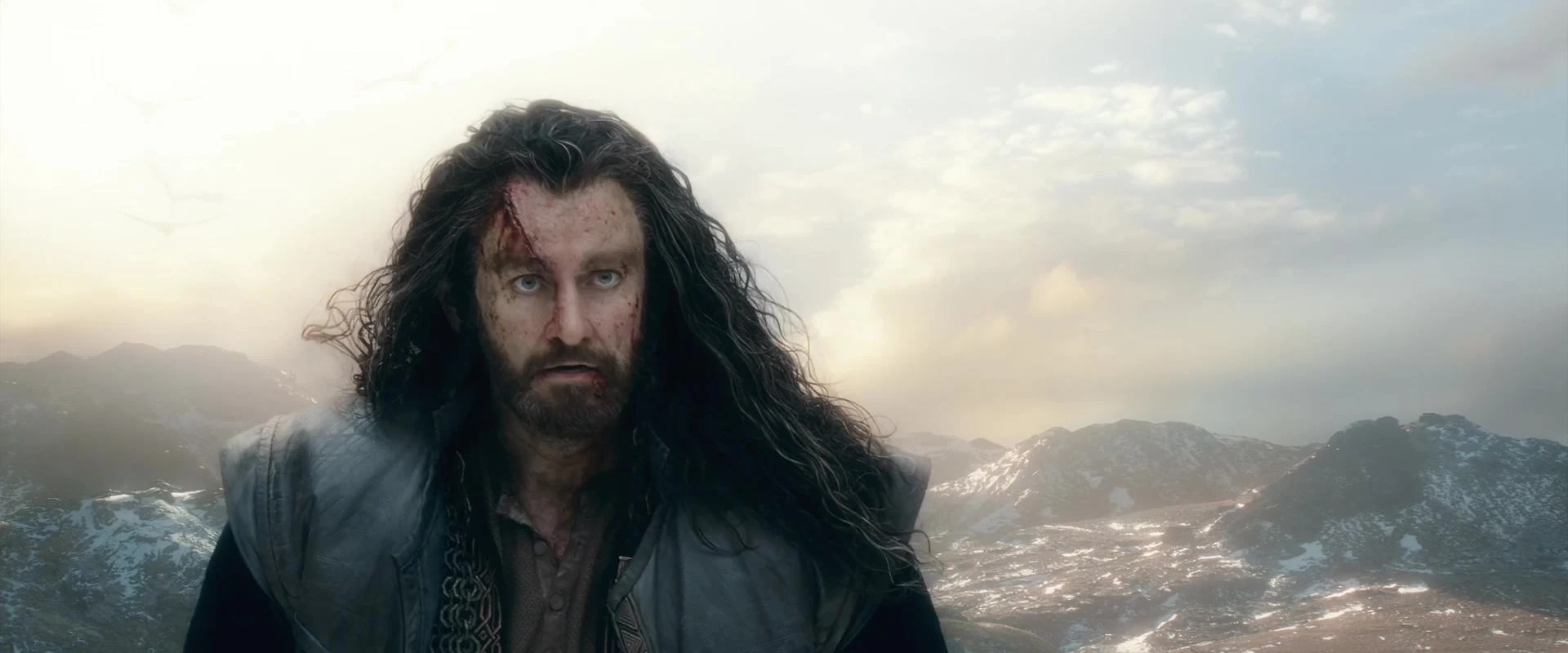 Thorin II Oakenshield | The Middle Earth Cinematic Universe Wiki | Fandom