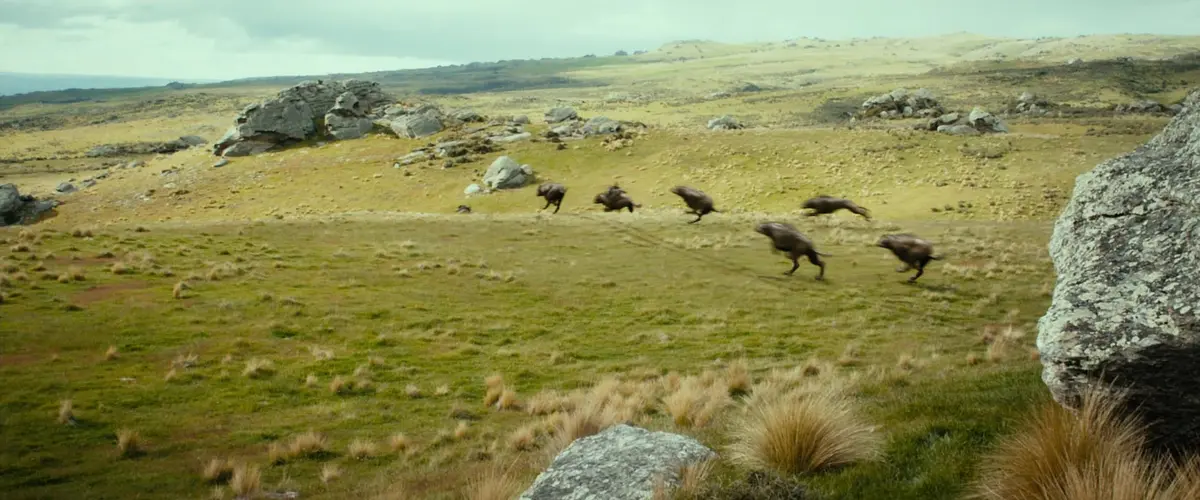 Rhovanion | The Middle Earth Cinematic Universe Wiki | Fandom