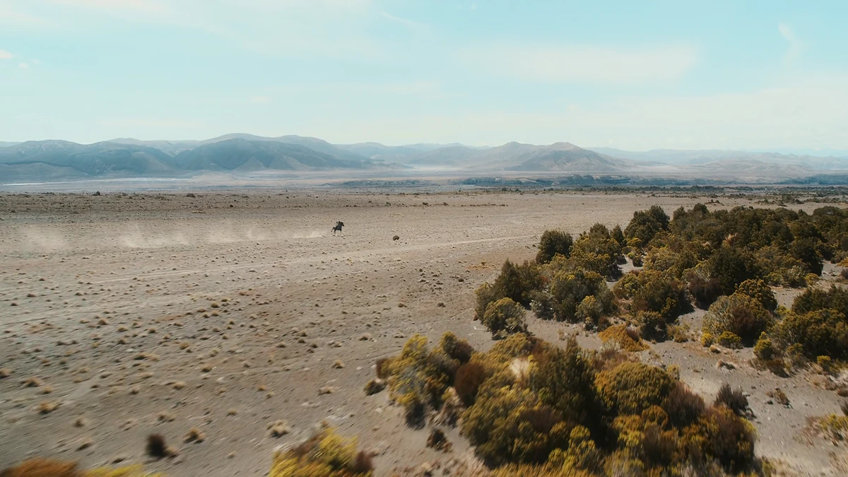 Rhun | The Middle Earth Cinematic Universe Wiki | Fandom