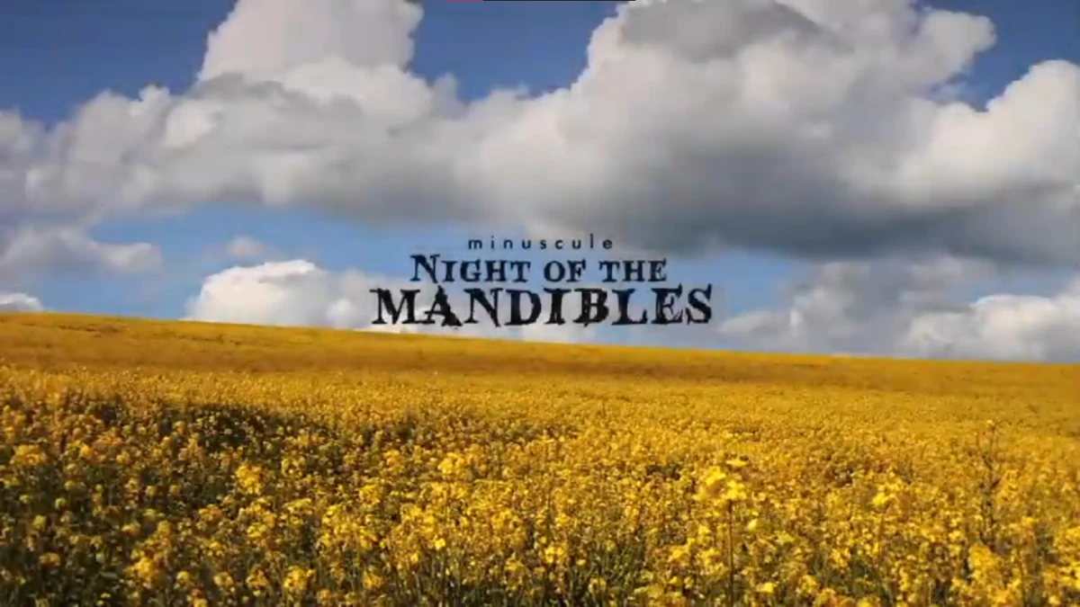 Night of the Mandibles | The Minuscule Wiki | Fandom