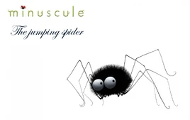 Jumping Spider | The Minuscule Wiki | Fandom