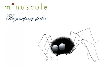 Jumping Spider | The Minuscule Wiki | Fandom