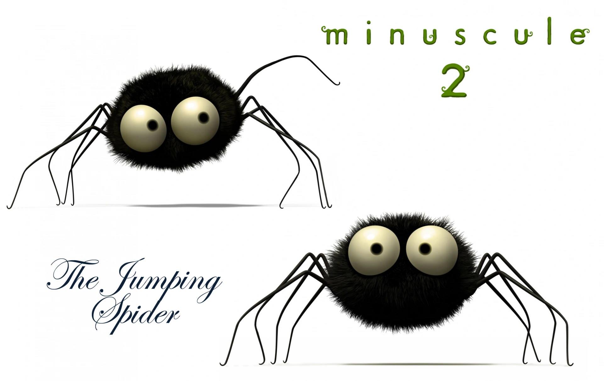 Minuscule Spider