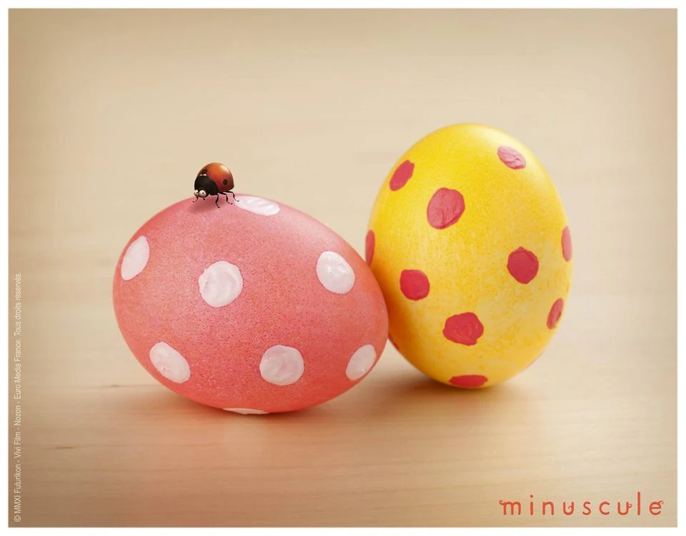 Ladybug/Gallery | The Minuscule Wiki | Fandom