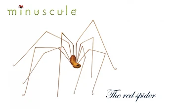 Red Spider | The Minuscule Wiki | Fandom