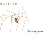 Category:Characters | The Minuscule Wiki | Fandom