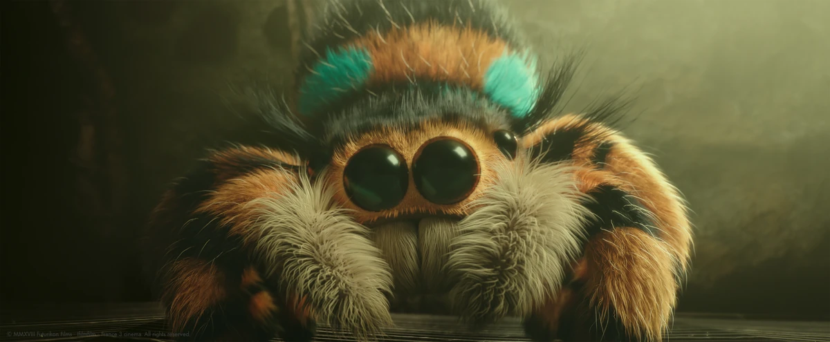 Hairy Spider | The Minuscule Wiki | Fandom