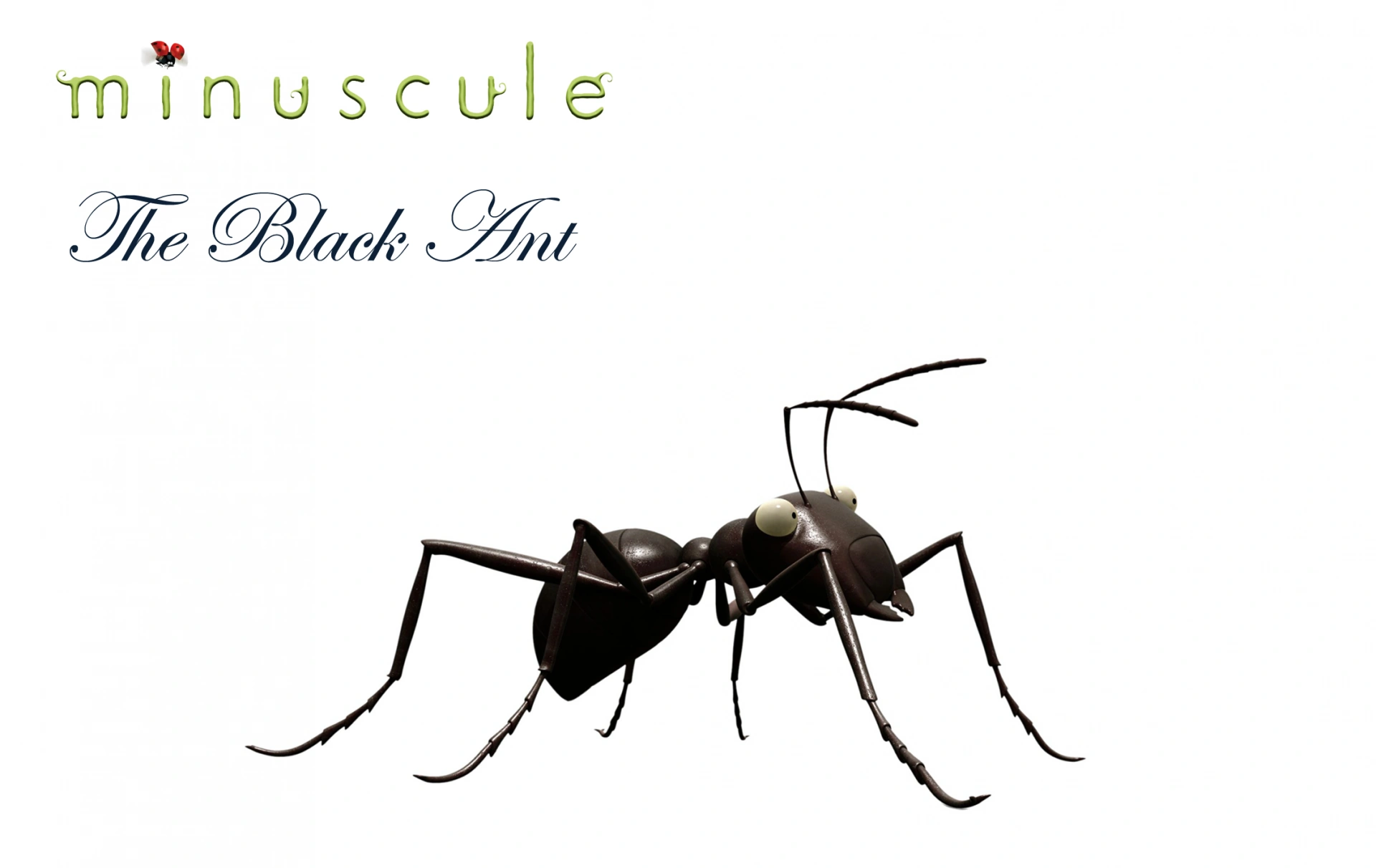 Black Ant | The Minuscule Wiki | Fandom
