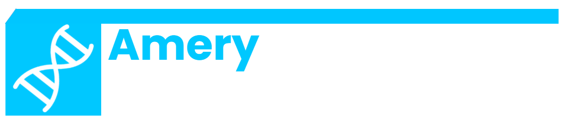 Amery International | The Misadventures of Taiki Fujita Wiki | Fandom