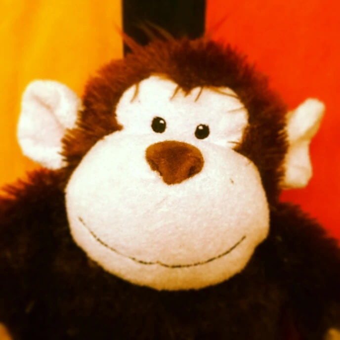 Elizia | The Monkey Club Wiki | Fandom