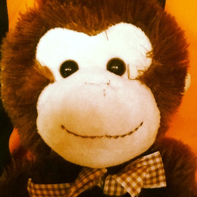 Bellatrix | The Monkey Club Wiki | Fandom