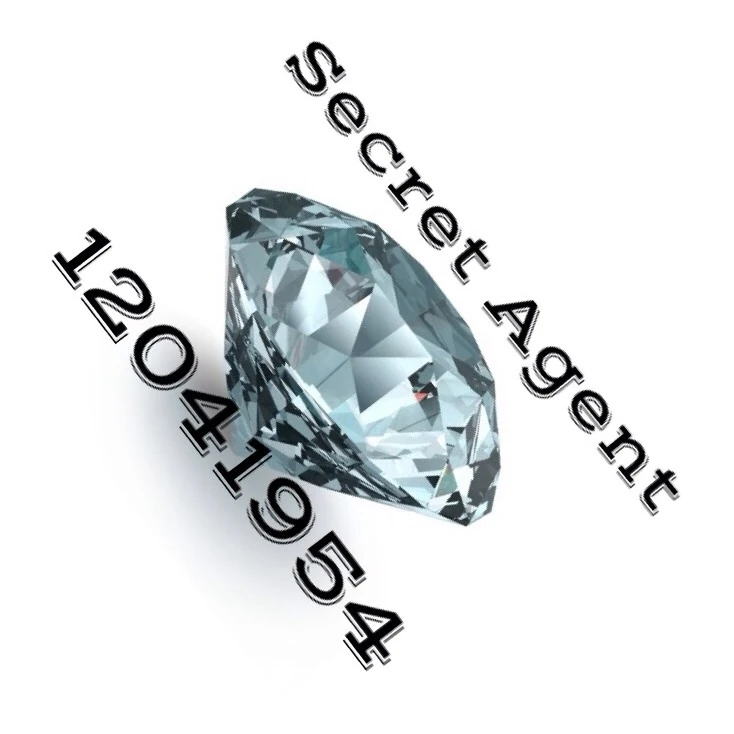 Secret Agent 12041954 | The Monkey Club Wiki | Fandom
