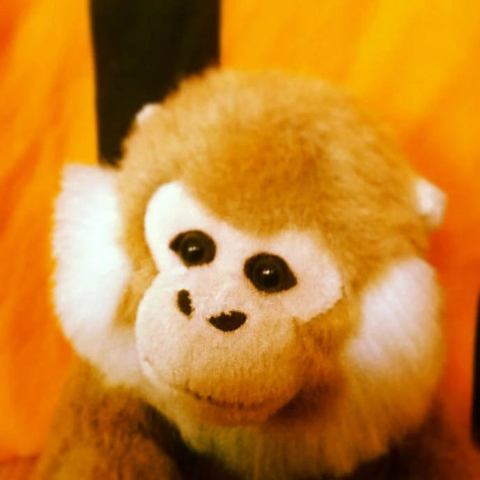 Mango | The Monkey Club Wiki | Fandom