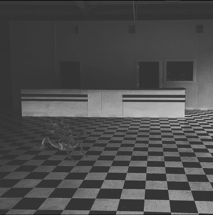 Semi-entity 42 — "Mutated Ants" | Monochromerooms Wiki | Fandom