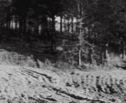 Air Force One Angel/Image Gallery | The Monument Mythos Wiki | Fandom