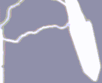 Special Tree | The Monument Mythos Wiki | Fandom