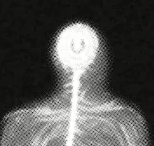 Air Force One Angel/Image Gallery | The Monument Mythos Wiki | Fandom