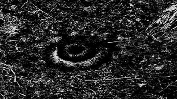 THE MISSING EYE OF JESUS CHRIST | The Monument Mythos Wiki | Fandom