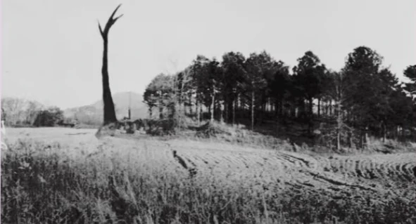 1934 Rockefeller Center Special Tree | The Monument Mythos Wiki | Fandom