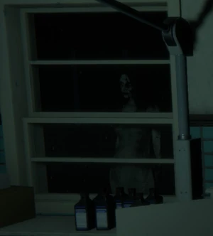 The Woman in White | The Mortuary Assistant Wiki | Fandom