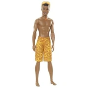 Matthew Derringer | The Most Popular Girls In School Wiki | Fandom