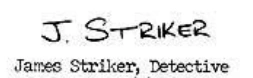 Detective Striker | The Mystery of the Druids Wiki | Fandom