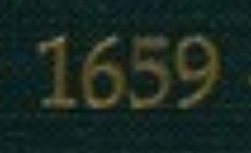 1659 | The New AU Wiki | Fandom