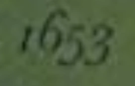 1653 | The New AU Wiki | Fandom