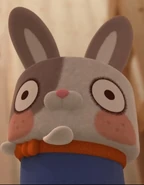 Toki/Gallery | Canimals Wiki | Fandom