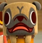 Uly/Gallery | Canimals Wiki | Fandom