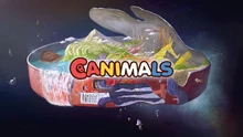 Canimals Planet (Location) | Canimals Wiki | Fandom