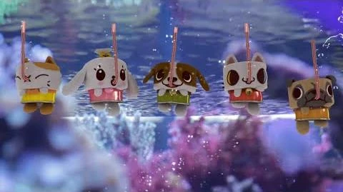 Splash Into The Aquarium | Canimals Wiki | Fandom